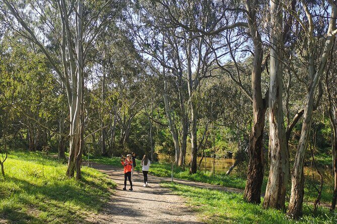 Melbourne Tours Walk the Yarra & Historic Boathouse Lunch - Authentic Traveler Feedback