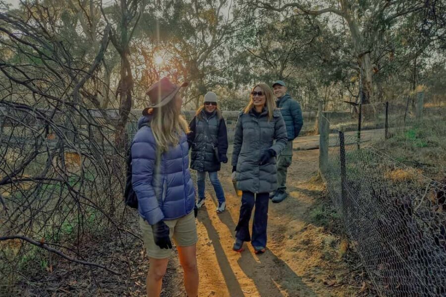 Melbourne: Walk the Yarra to Heritage Abbotsford Convent - What Makes This Tour Special