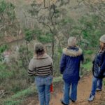 Melbourne: Walk the Yarra to Historic Fairfield Boathouse - The Cultural Significance of Dights Falls