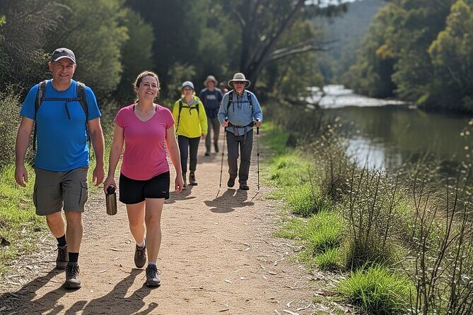 Melbourne wildlife nature hike with Kangaroos and sunset picnic! - The Itinerary in Detail