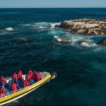 Melbourne: Wilsons Promontory Morning Wilderness Cruise - The Itinerary: What Makes Each Stop Special