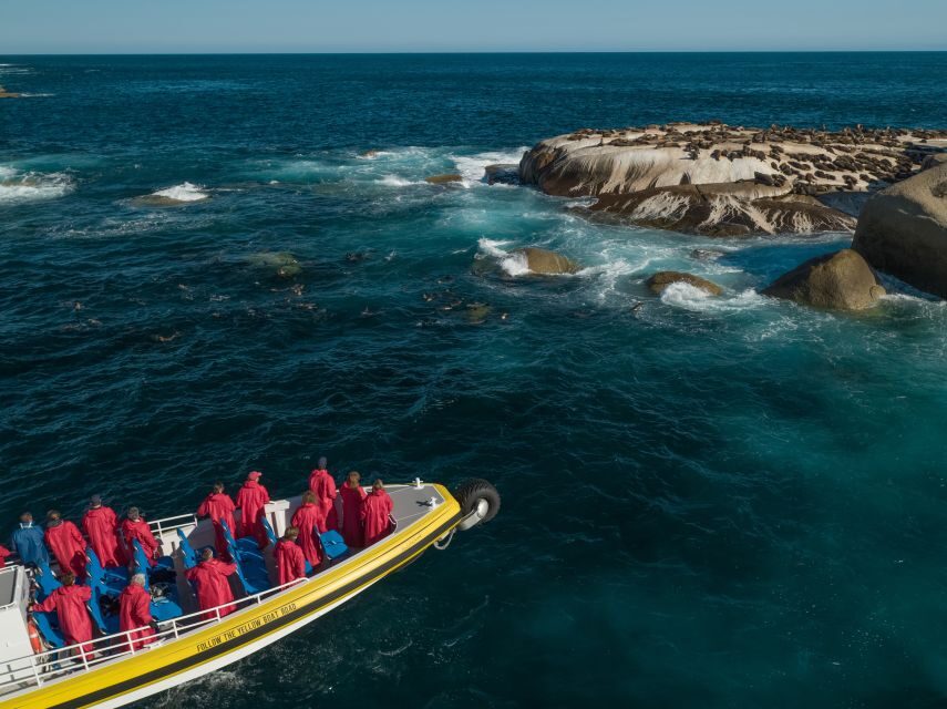 Melbourne: Wilsons Promontory Morning Wilderness Cruise - The Itinerary: What Makes Each Stop Special