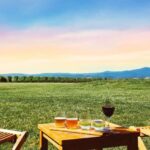 Melbourne: Yarra Valley Wine Tour & Lunch & Gin/Beer Option - Transportation, Group Size, & Practicalities