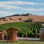 Melbourne Yarra Valley Wineries Explore Private Tour - Practical Tips for Future Travelers