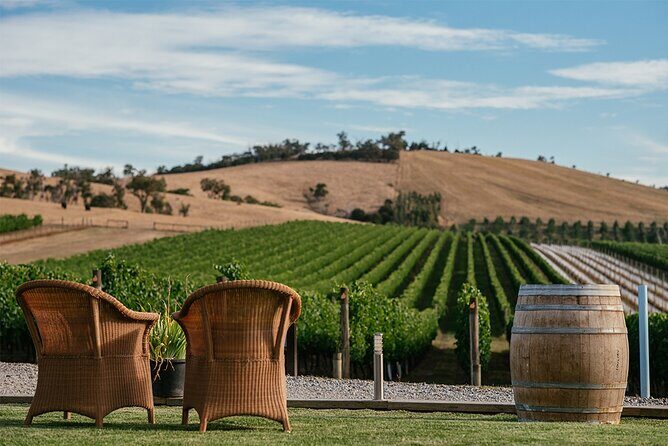 Melbourne Yarra Valley Wineries Explore Private Tour - Practical Tips for Future Travelers