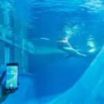 Melbourne Zoo: 1-Day Entry Ticket - The Experience Beyond the Exhibits