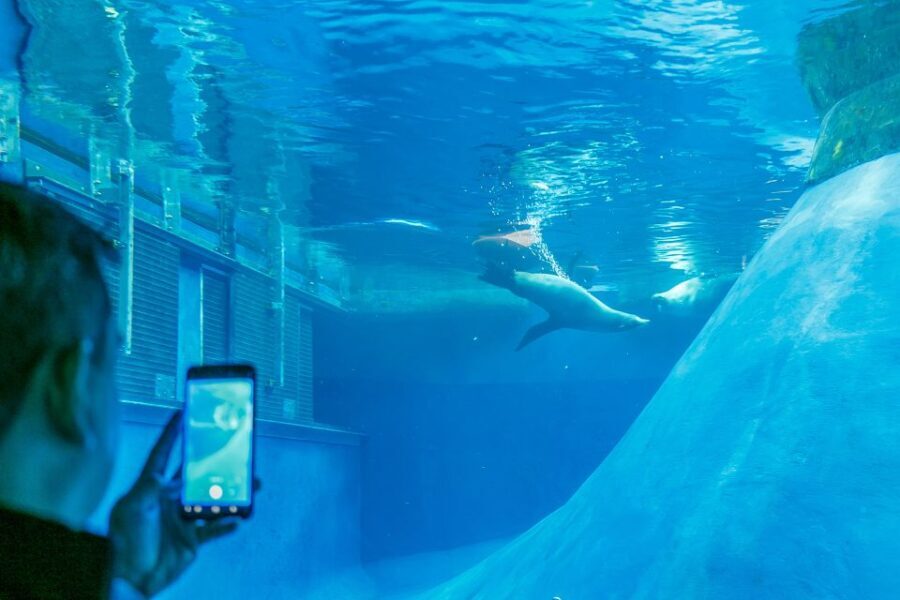 Melbourne Zoo: 1-Day Entry Ticket - The Experience Beyond the Exhibits