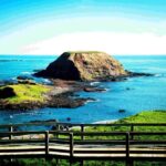MelbournePhillip Island Tour 1 Day Tour - Detailed Breakdown of the Experience