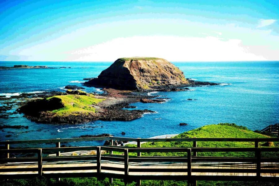 MelbournePhillip Island Tour 1 Day Tour - Detailed Breakdown of the Experience
