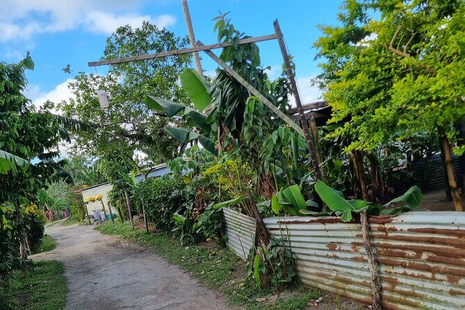 Mele Village Guided Walking Tour - Practical Considerations