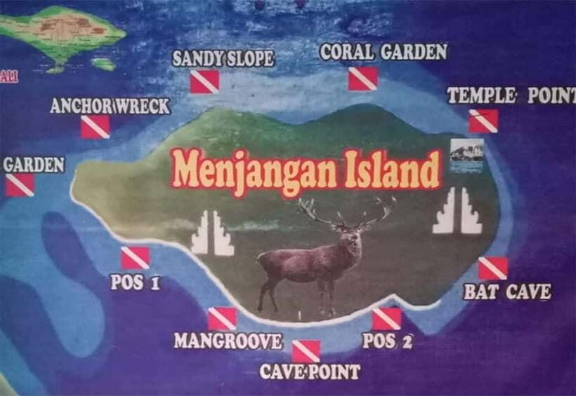 Menjangan Island: Scuba Diving Trip with Lunch - Diving Experience: What Travelers Are Saying