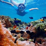 Menjangan Island: Snorkeling Tour with Lunch - Value and Practical Considerations