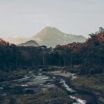 Merapi Volcano Sunrise, Borobudur & Ratu Boko Full Day Tour - What Travelers Can Expect