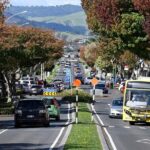 Middle Earth Private Tour from Tauranga Cruise Port. Tickets incl - Hobbiton Movie Set Experience