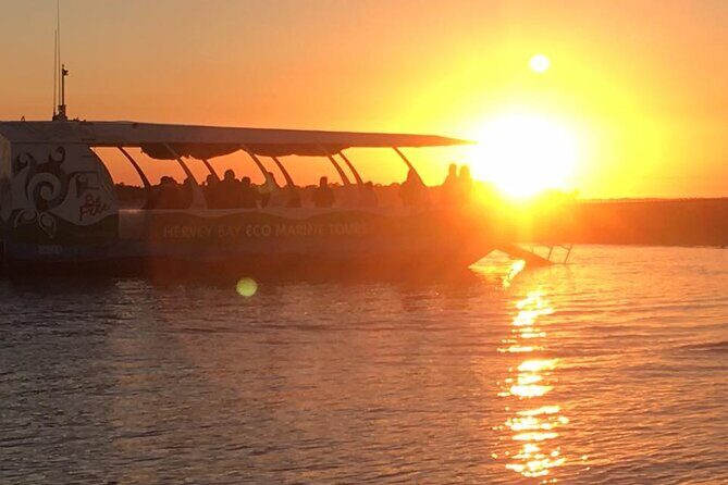 Milbi Sunset Cruise with Champagne and Prawns - Authentic Reviews and What They Say
