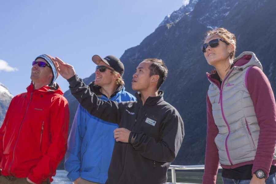 Milford Sound: 2-Hour Small Boat Scenic Cruise - Why This Tour Stands Out