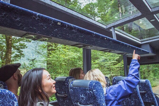 Milford Sound Coach & Cruise Tour from Te Anau - How Does the Tour Offer Value?