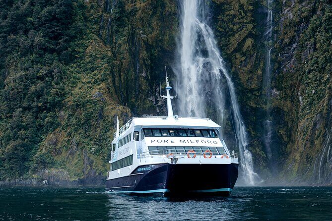 Milford Sound Cruise - Authentic Feedback from Travelers