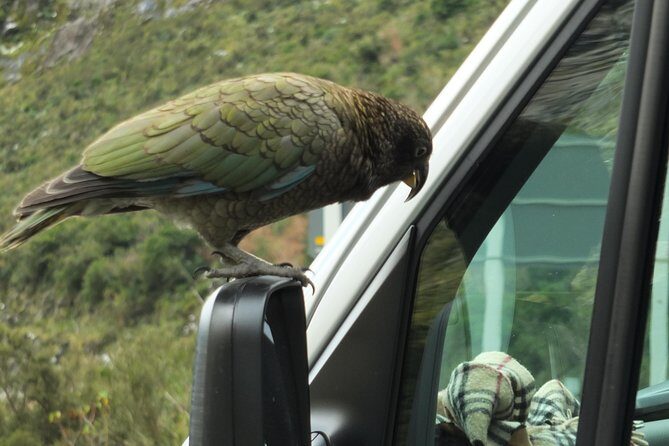 Milford Sound Discovery Tour - Transportation, Timing, and Group Size