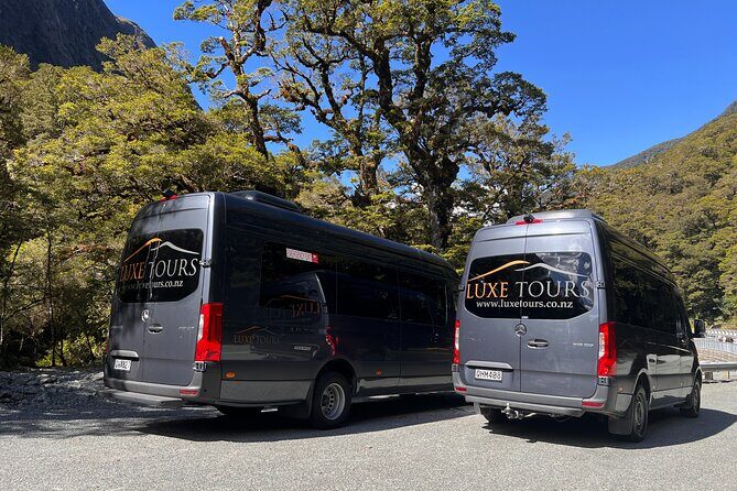 Milford Sound Full Day Tour from Te Anau with Cruise - Transportation and Comfort