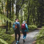 Milford Sound: Nature Cruise & Milford Track Walk - Who Should Consider This Tour?