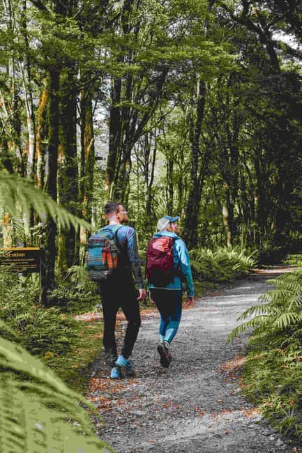 Milford Sound: Nature Cruise & Milford Track Walk - Who Should Consider This Tour?