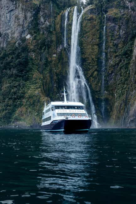 Milford Sound: Nature Cruise on a Modern Catamaran - The Sum Up: Is This Cruise Right for You?