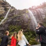 Milford Sound Nature Cruise with Southern Discoveries - Who Should Consider This Experience?