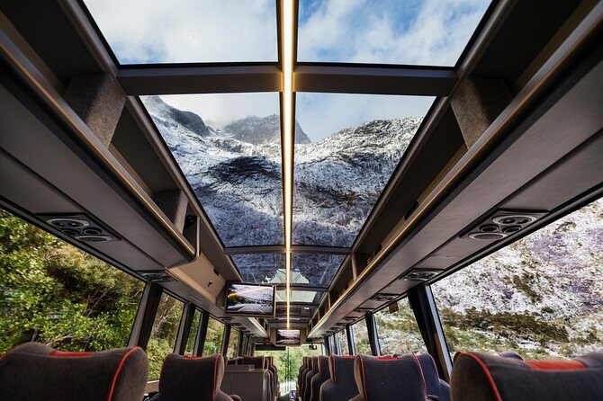 Milford Sound Premium Coach and Cruise with Lunch from Te Anau - Authenticity and Practical Insights