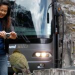 Milford Sound Premium Day Tour and Cruise from Te Anau - The Milford Sound Experience: From Bus to Boat