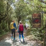 Milford Sound: Self-Guided Milford Track Day Walk - Final Thoughts: Is It Worth It?