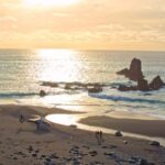 Milford Sound & West Coast Beach Helicopter Tour | 75 mins - Who Will Love This Experience?