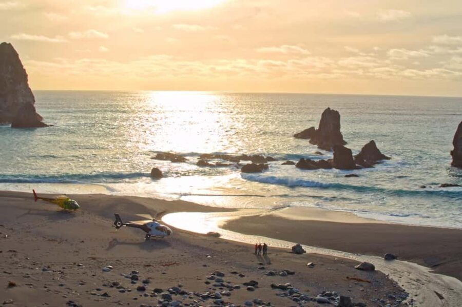 Milford Sound & West Coast Beach Helicopter Tour | 75 mins - Who Will Love This Experience?