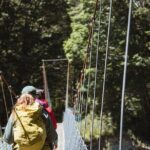 Milford Track Day Walk with Lake Te Anau Water Taxi - The Sum Up: Who’s It Best For?