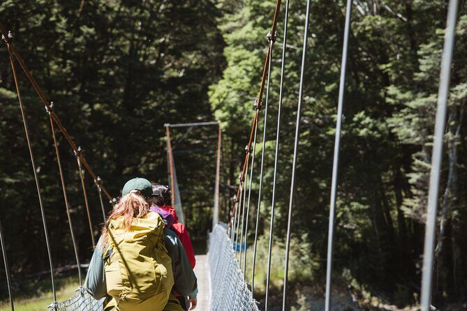 Milford Track Day Walk with Lake Te Anau Water Taxi - The Sum Up: Who’s It Best For?