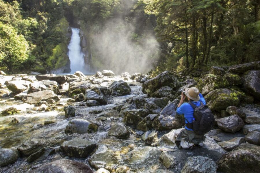 Milford Track: Full Day Guided Hike and Nature Cruise - Who Is This Tour Best Suited For?