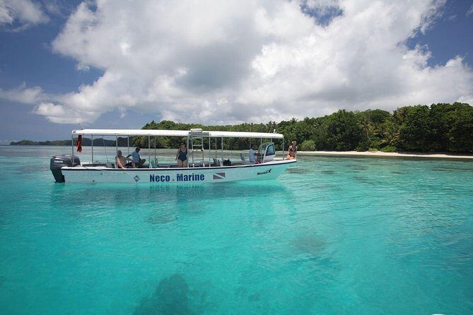 Milky Way, Shark City Island, Beach and Rock Island Tour - Authentic Testimonials