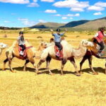 Mini Gobi and Ancient Capital Trip - What This Tour Means for You