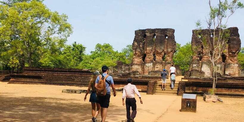 Minneriya Elephant Safari & Polonnaruwa Ancient Place Tours - Discovering the Tour: A Detailed Breakdown