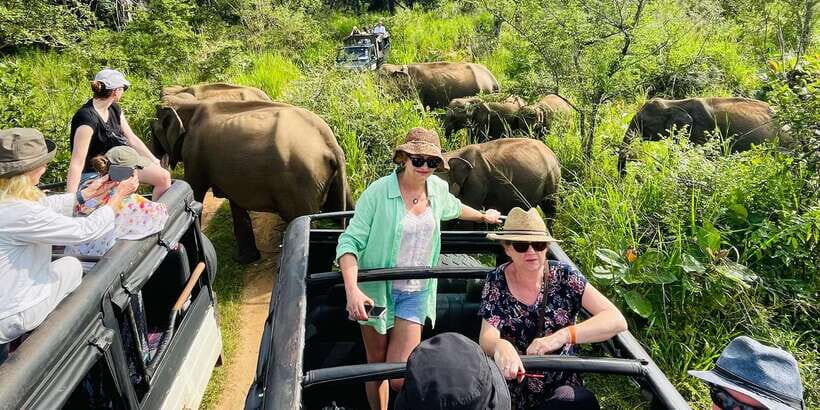 Minneriya National Park 4x4 jeep Safari Include Entrance Fee - What’s Included and What’s Not