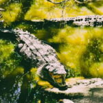 Minneriya National Park: Private 4X4 Safari From Trincomale - Who Is This Tour Best For?