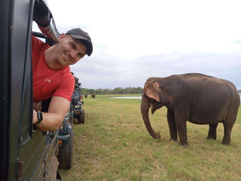 Minneriya National Park: Private Safari with Hotel Pick-up - The Itinerary and What to Expect