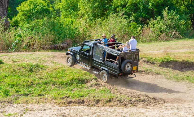 Minneriya National Park Safari from Sigiriya (Private Group) - An Introduction to Minneriya Safari from Sigiriya