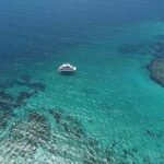 Mission Beach: Small Group | Outer Reef Snorkel & Dunk Island - Who Will Love This Tour?