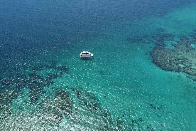 Mission Beach: Small Group | Outer Reef Snorkel & Dunk Island - Who Will Love This Tour?