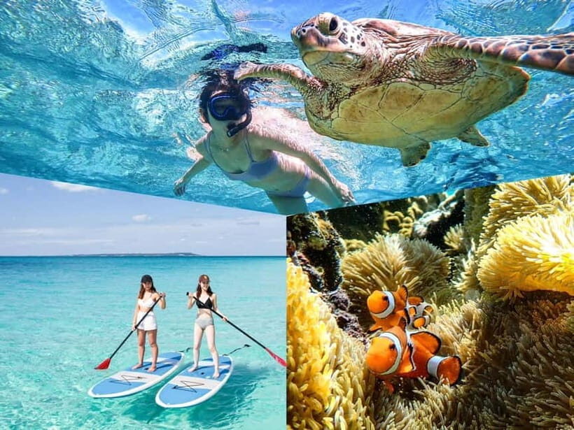Miyakojima: SUP and Snorkeling- Two Activities in One Day - The Itinerary and What Makes Each Part Special