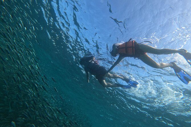 Moalboal sardines, turtles, and Kawasan Canyon - Why This Tour Offers Great Value