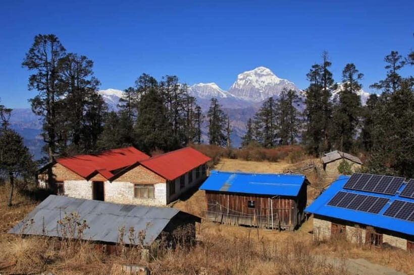 Mohare Danda Trek | 10 Days Trek | Nepal - An In-Depth Look at the Trek