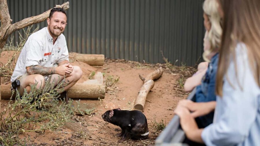 Monarto Safari Park: A Devilish Native Experience - The Value of the Experience