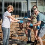 Monarto Safari Park: Lions At Bedtime - The Experience: What We Imagine You’ll Feel